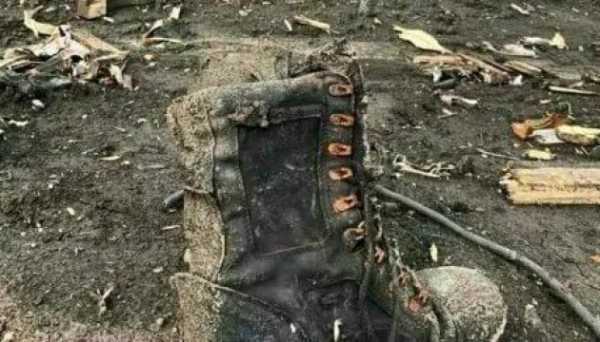 More than a company of invaders decimated in Tavria direction in past ...