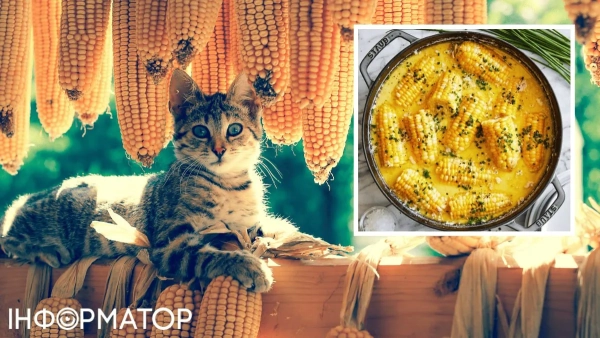 The most delicious way to cook corn has been revealed – it will save ...